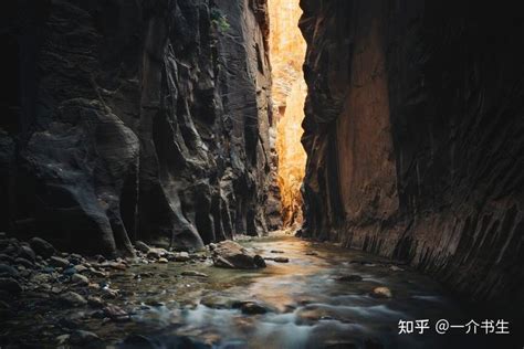 社会心理学之自我参照效应，是什么，有什么用 知乎