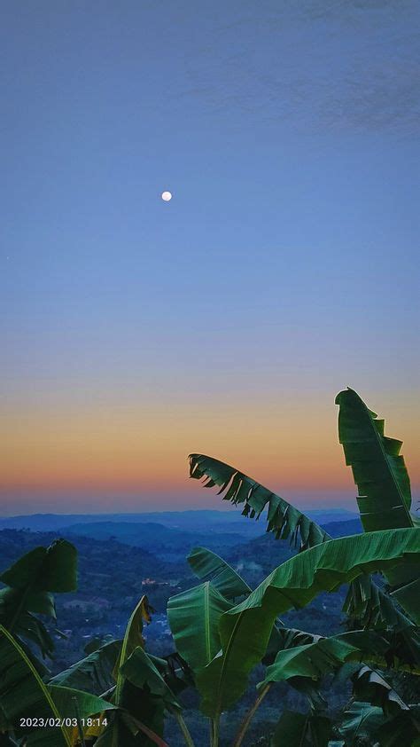 Paz Y Tranquilidad Imagenes