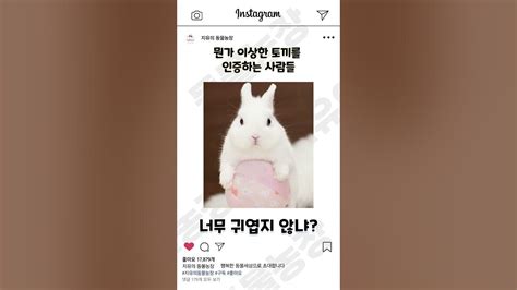 뭔가 이상한 토끼를 인증하는 사람들 Shorts Youtube
