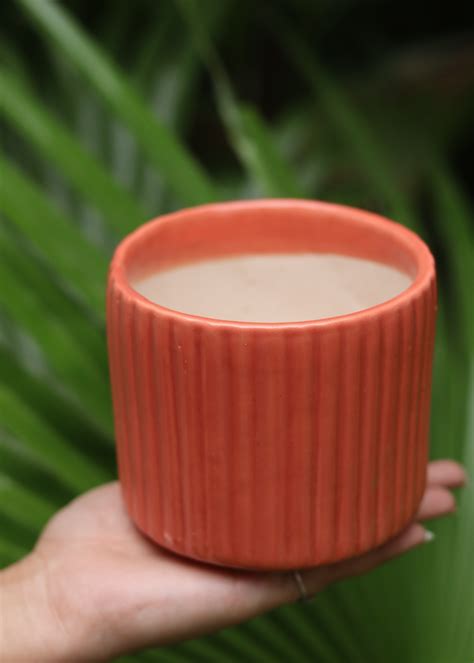 Shop Ceramic Planters At The Reasonable Prices Weavinghomes