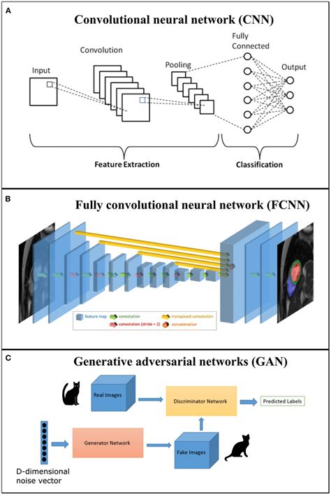 A Example Of A Convolution Neural Network Cnn Where First Section