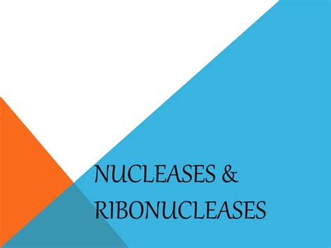 Nucleases Pptx