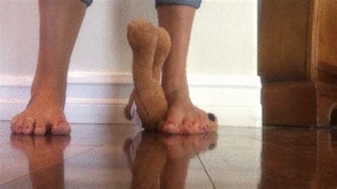 Size 13 Teddy Bear Stomp Amy Woods Feet Clips Clips4sale