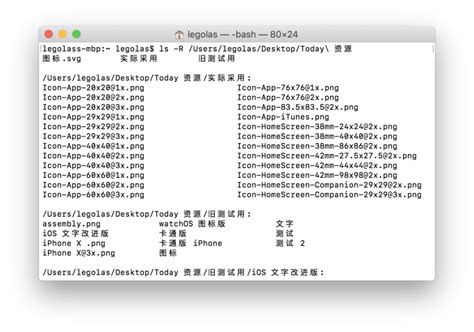 【拓展】玩转 terminal 终端：入门指南及进阶技巧 csdn博客