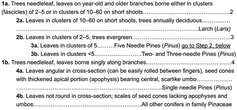 Identification Guide To The Needle Pines Of Western North America Elfinwood Ecology