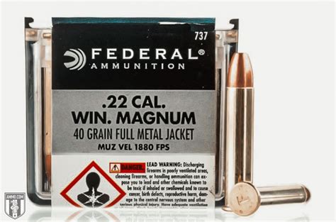 Top 5 Best 22 Wmr Ammo Recommended By Experts