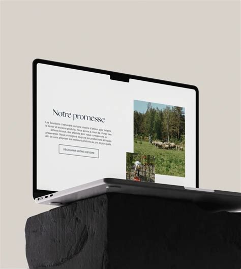 Les Bourbons Site E Commerce Par Pic Digital