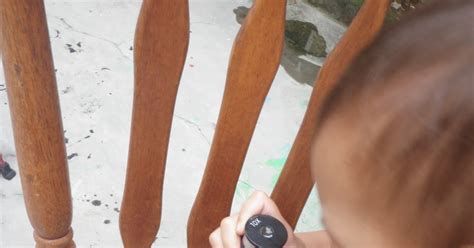 Roots Microscope 8 Dec 2010