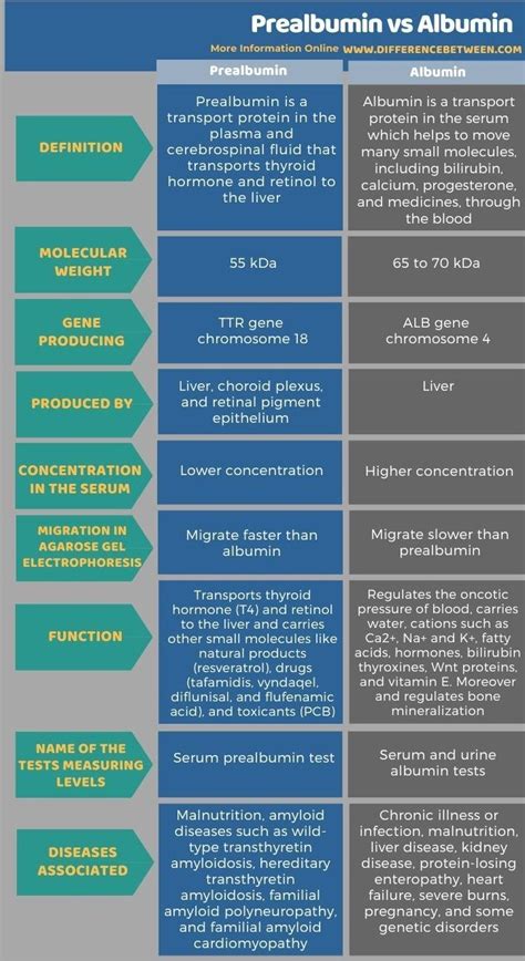 Prealbumin Vs Albumin Tabular Form Cerebrospinal Fluid Plexus