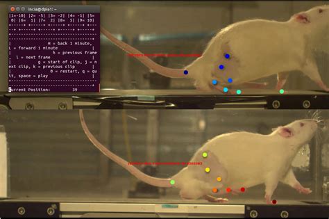 Uncorrect Matching Between Frames And Analyze Plotting · Issue 329
