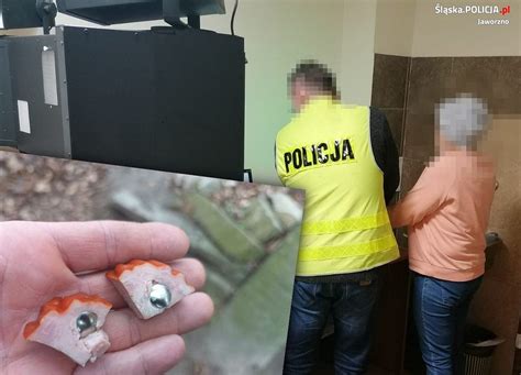 Rozrzucała wędlinę z pinezkami bo irytowały ją szczekające psy Nie ujdzie jej to na sucho