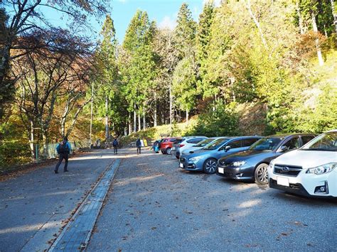富士見台高原 紅葉の古道から一面の笹原へ深秋のんびりハイク 稜線に吹く風のむこうへ