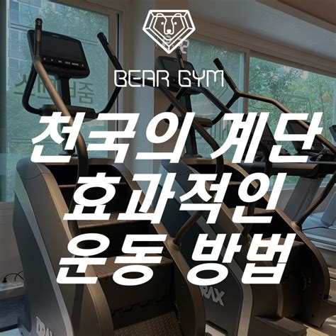 복수동pt 복수동헬스장 스텝밀천국의 계단 효과적인 운동 방법 산성동헬스장 도마동헬스장 정림동헬스장 유천동헬스장