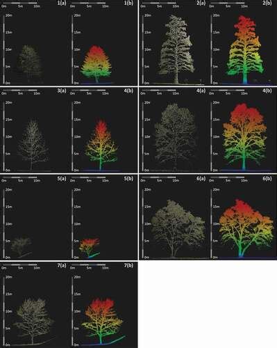 Full Article Urban Tree Species Classification Using Uav Based Multi Sensor Data Fusion And