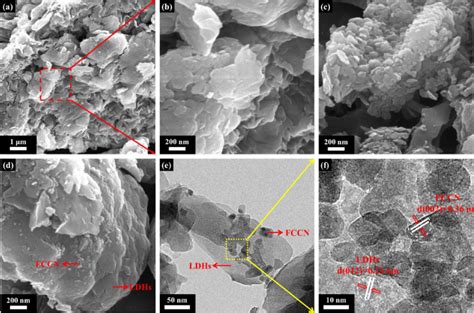 A B Sem Images Of Ldh Nanosheets C Sem Image Of Fccn D