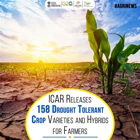 Tridib Mukherjee Posted On Linkedin