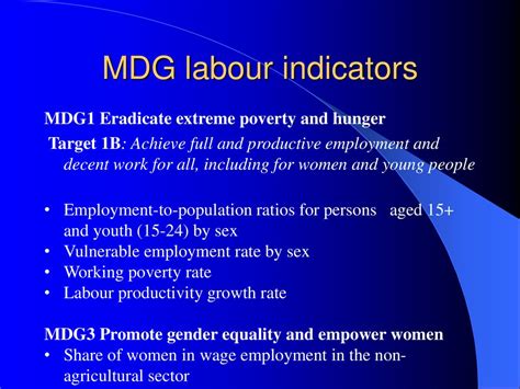 Mdg Labour Indicators Measurement Availability And Discrepancies Of