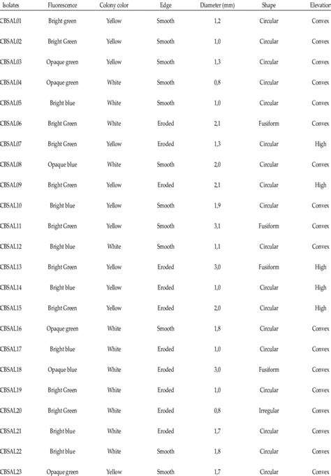 Morphological Profile Of Garlic Fluorescent Pseudomonas Isolates Tabla Download Scientific