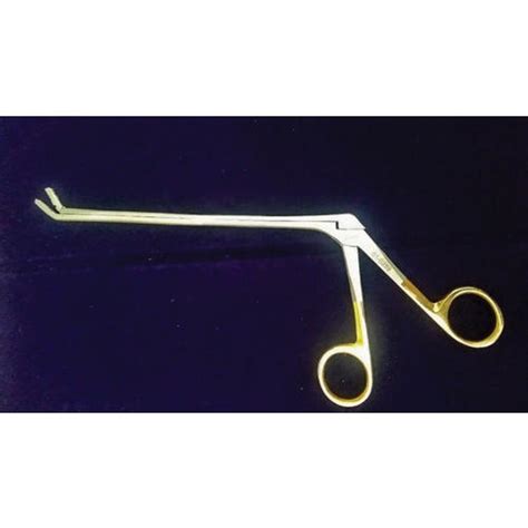 Accusur Stainless Steel Laminectomy Disc Forcep For Surgical Instruments At Best Price In New Delhi