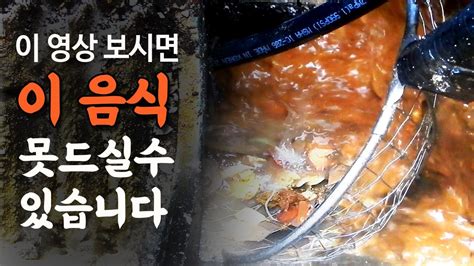 하수구에 음식물 쓰레기를 버리면 안되는 이유 Youtube