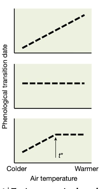 Solved Article Ecosystem Warming Extends Vegetation