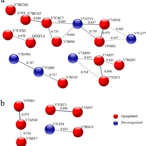 Analysis Of A Functional Network Of The Proteins Differentially Download Scientific Diagram