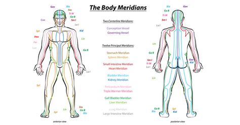 How Does Shiatsu Massage Work Massage Therapy Concepts