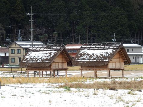 【公式】青谷かみじち史跡公園｜青谷上寺地遺跡｜弥生時代の体験・学習施設 冬の可愛いお客様ご来園