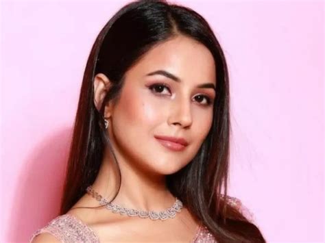 Shehnaz Gill Becomes Victim Of Oops Moments In Front Cut Dress Bold