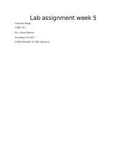 Lab Assignment Week 5 Docx Lab Assignment Week 5 Lawrence Mayo CMIT