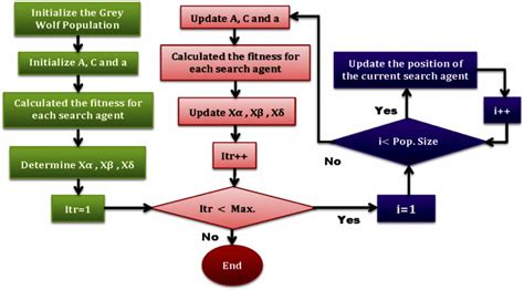 Flow Chart Of The Gwo Algorithm Makhadmeh Et Al 2018 Download