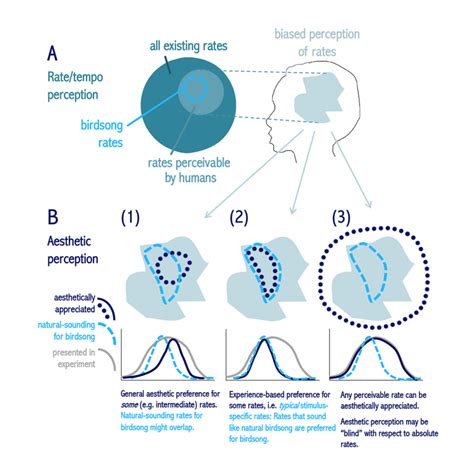 Listening To Birdsong Reveals Basic Features Of Rate Perception And