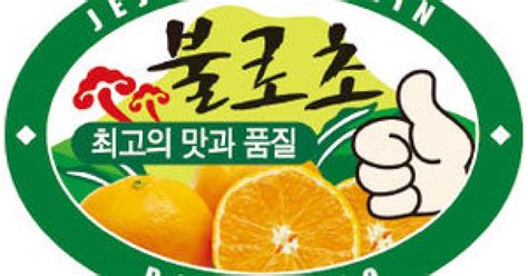 제주감귤농업협동조합 불로초 제주 감귤 중 맛과 영양 최상품 엄선