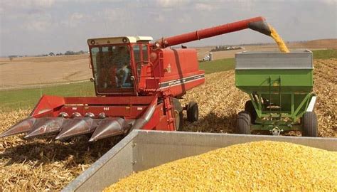 A Look At Trendline Yields For Us And Iowa Corn And Soybean