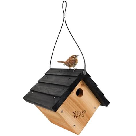 How To Build A Barred Owl Nesting Box Birds And Wetlands