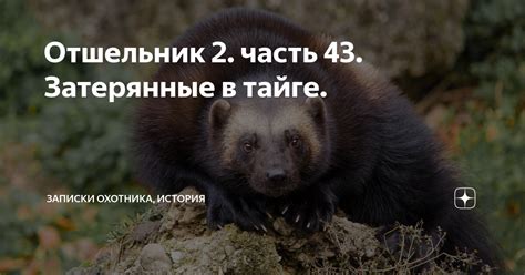 Отшельник 2 часть 43 Затерянные в тайге Записки охотника история