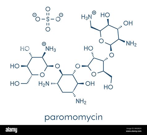 Paromomycin Aminoglycoside Antibiotic Drug Molecule Skeletal Formula
