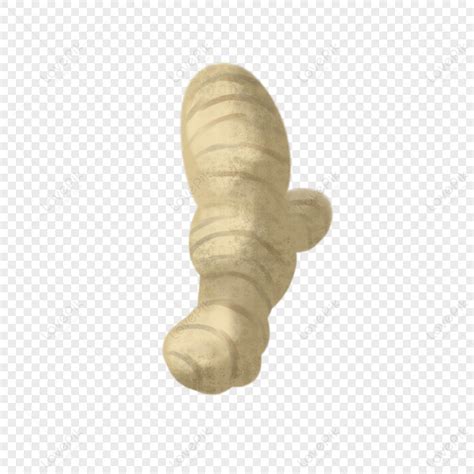향기로운 생강 Png 일러스트 및 벡터 이미지 무료 다운로드 Lovepik