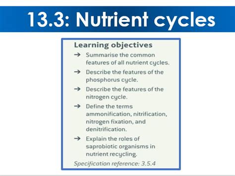 13 3 A Level 13 3 Nutrient Cycles Teaching Resources