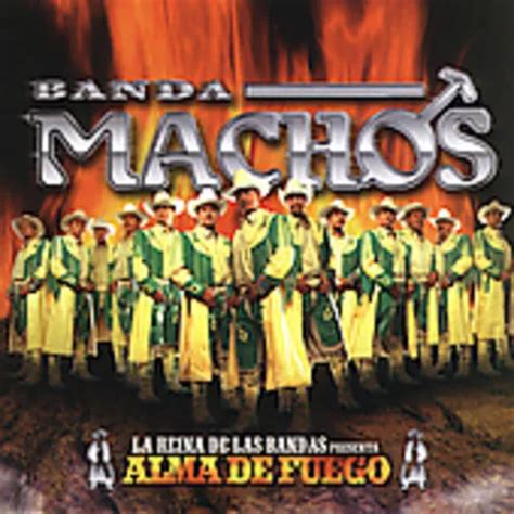 Banda Machos Alma De Fuego Cd Meses Sin Interés