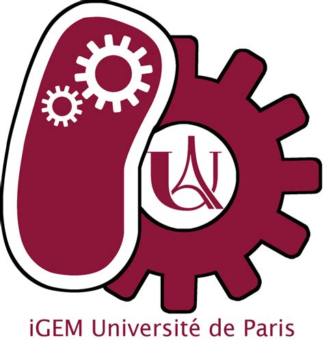 How You Could Help Ufr Sciences Fondamentales Et Biomédicales