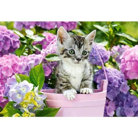 Puzzle pièces Chaton dans Son Panier pièces Cdiscount Jeux Jouets