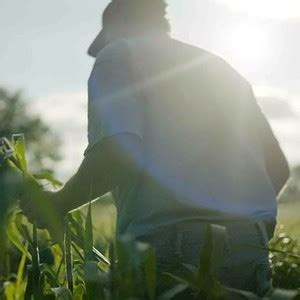 Wasted The Story Of Food Waste Rotten Tomatoes