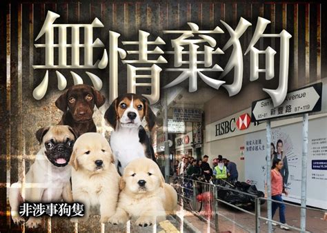 上水5狗隻被困籠中棄街頭 列殘酷對待動物跟進｜即時新聞｜港澳｜oncc東網