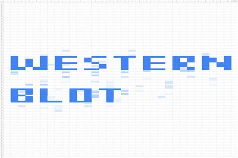 How To Read A Western Blot A Guide To Understanding Results