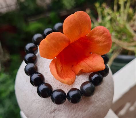 Black Obsidian Protection And Problem Solver Dr Neeti Kaushiks Shop