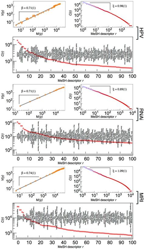 Statistical Regularities In The Mesh Vocabulary Space Rank