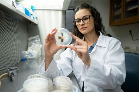 Programs Microbiology And Cell Science Online Degree Programs