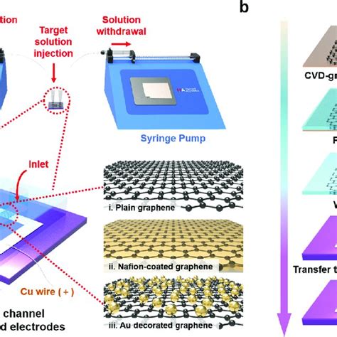 Glucose Detection Characteristics Of The Graphene Sfets Glucose