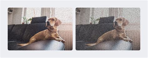 Classifying Noisy Images Machines Vs Humans